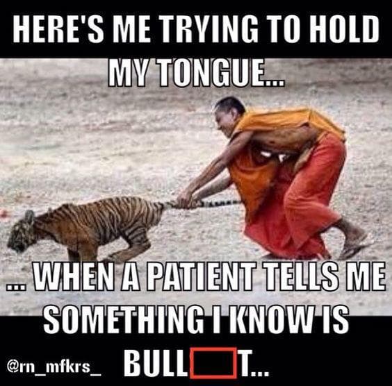 The 30 Funniest Tiger Memes, Ranked