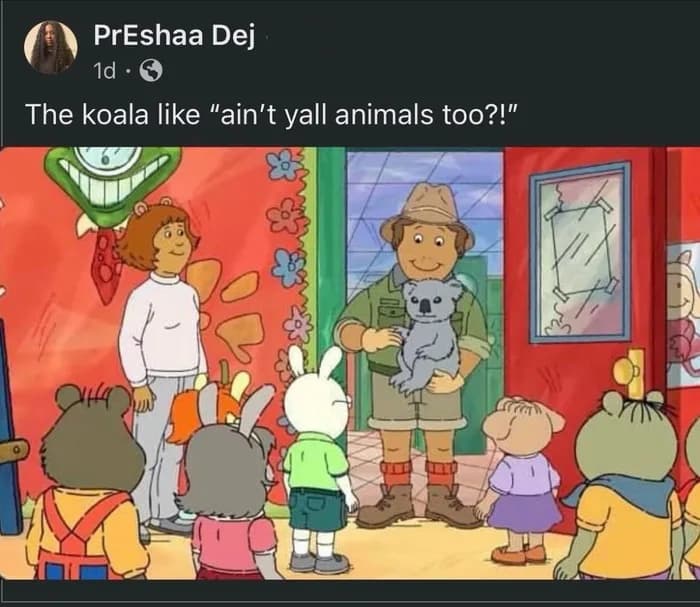 The 30 Funniest Koala Memes, Ranked