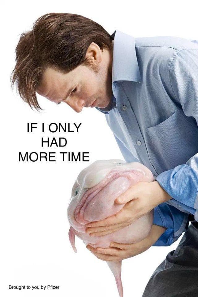 The 26 Funniest Surreal Memes, Ranked