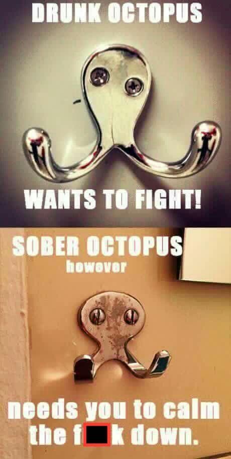 The 30 Funniest Octopus Memes, Ranked