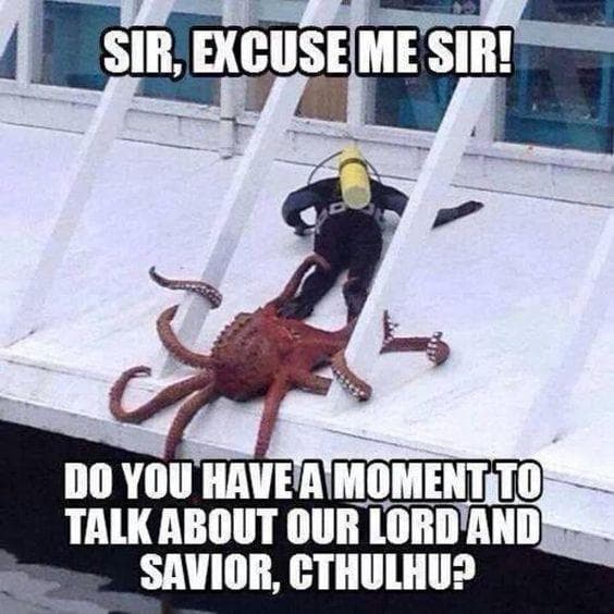 The 30 Funniest Octopus Memes, Ranked