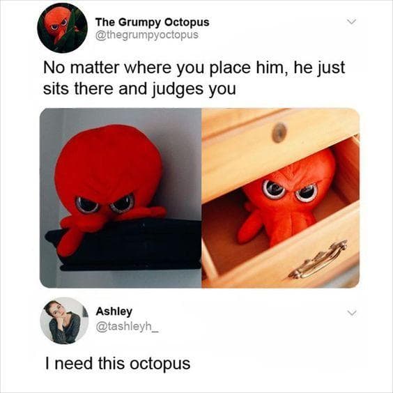 The 30 Funniest Octopus Memes, Ranked