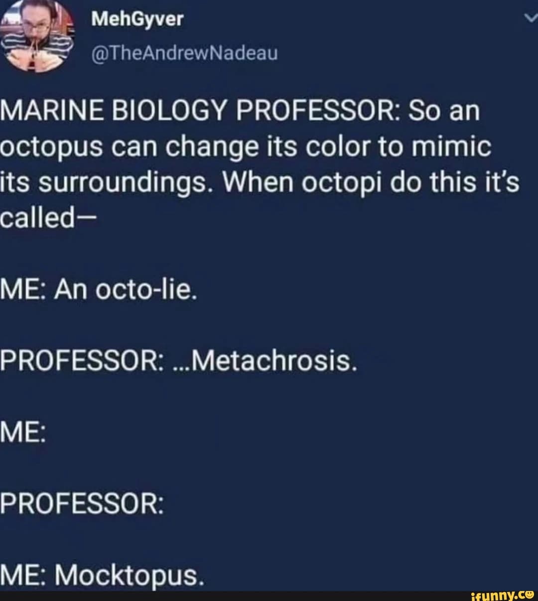 The 30 Funniest Octopus Memes, Ranked