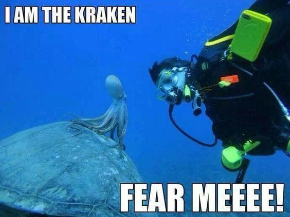 The 30 Funniest Octopus Memes, Ranked