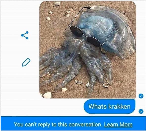 The 30 Funniest Octopus Memes, Ranked