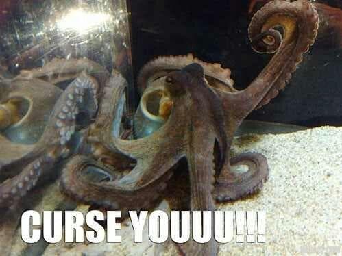 The 30 Funniest Octopus Memes, Ranked