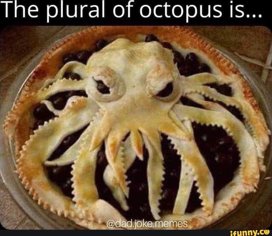 The 30 Funniest Octopus Memes, Ranked