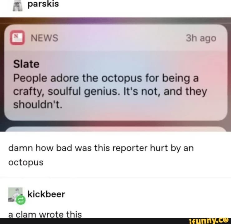 The 30 Funniest Octopus Memes, Ranked