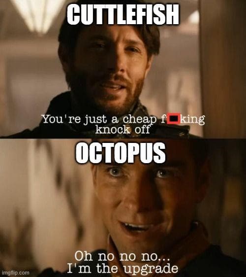 The 30 Funniest Octopus Memes, Ranked