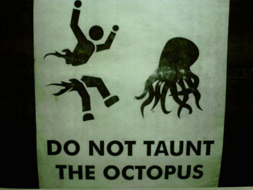 The 30 Funniest Octopus Memes, Ranked