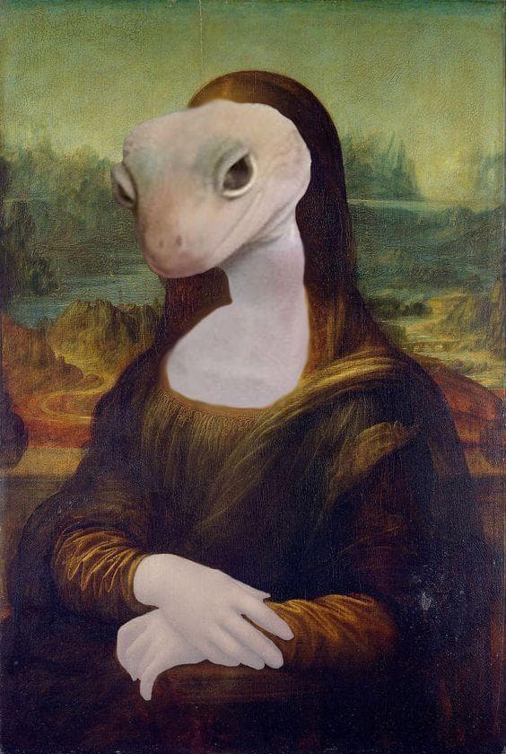 The 28 Funniest Gecko Memes, Ranked
