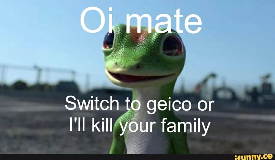 The 28 Funniest Gecko Memes, Ranked