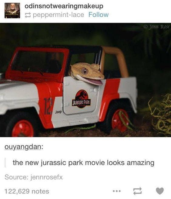 The 28 Funniest Gecko Memes, Ranked