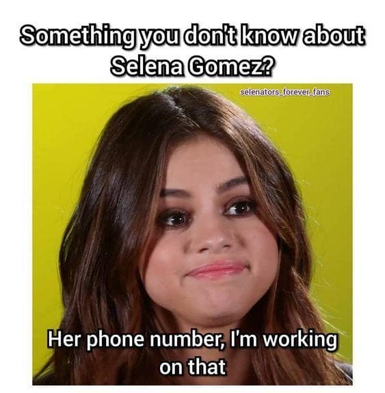 The 25 Funniest Selena Gomez Memes, Ranked