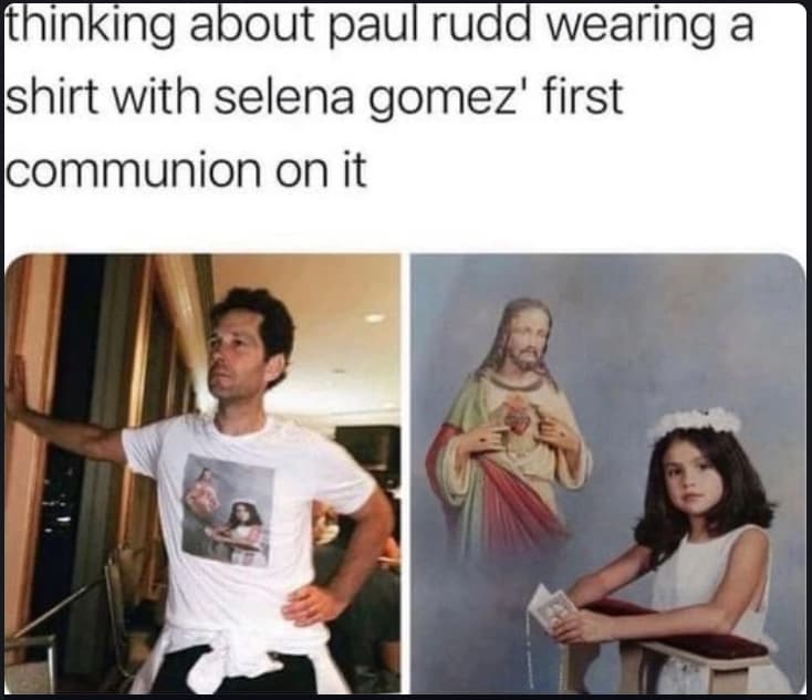 The 25 Funniest Selena Gomez Memes, Ranked