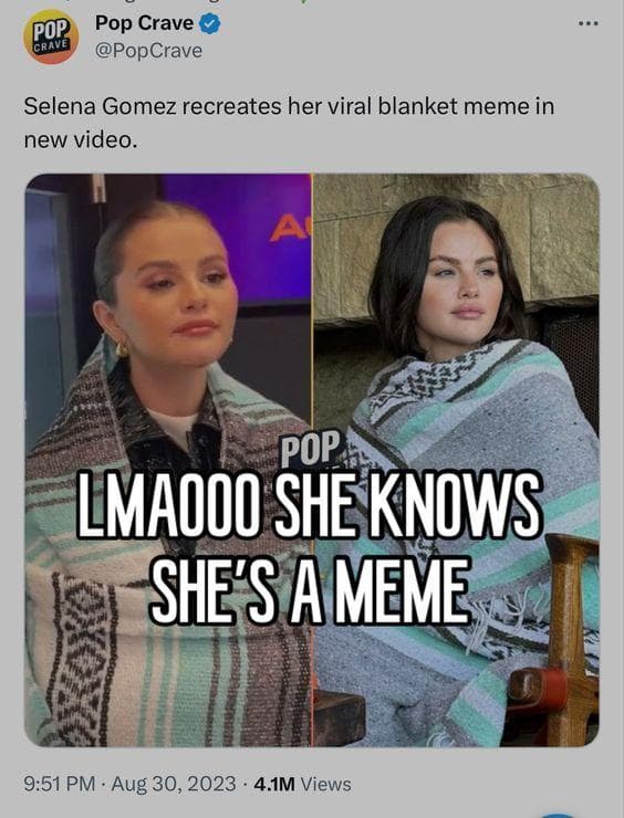 The 25 Funniest Selena Gomez Memes, Ranked