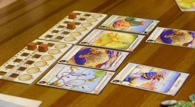 The 12 Best 6-Player Board Games, Ranked