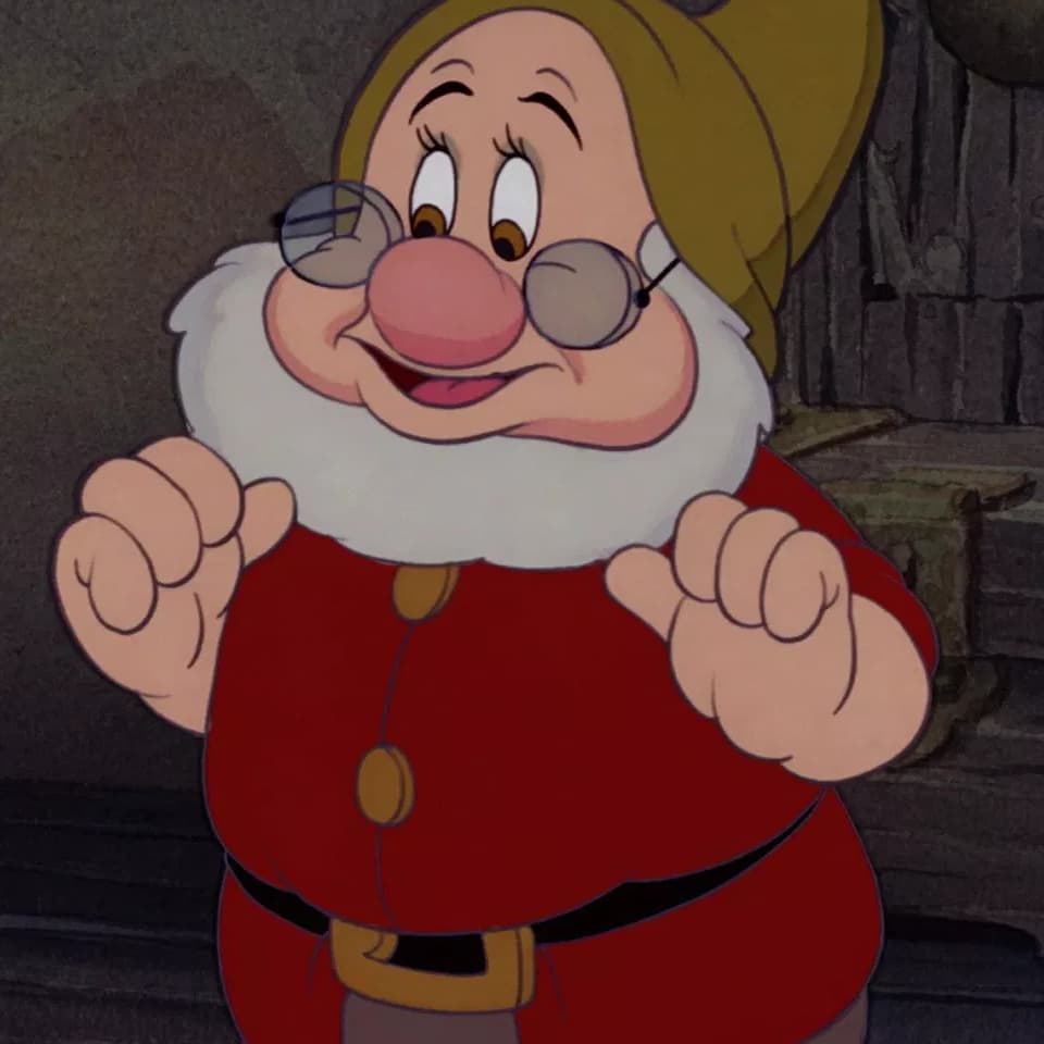 Disney Princess Beards