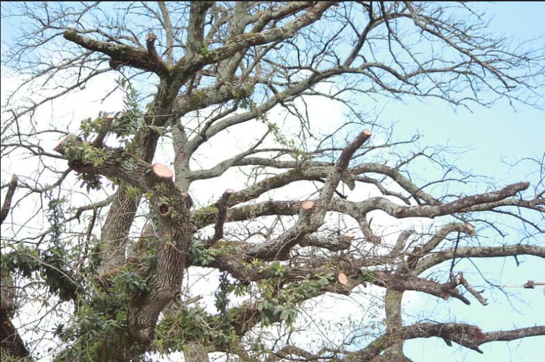 16 Times Sports Fans Went Too Far