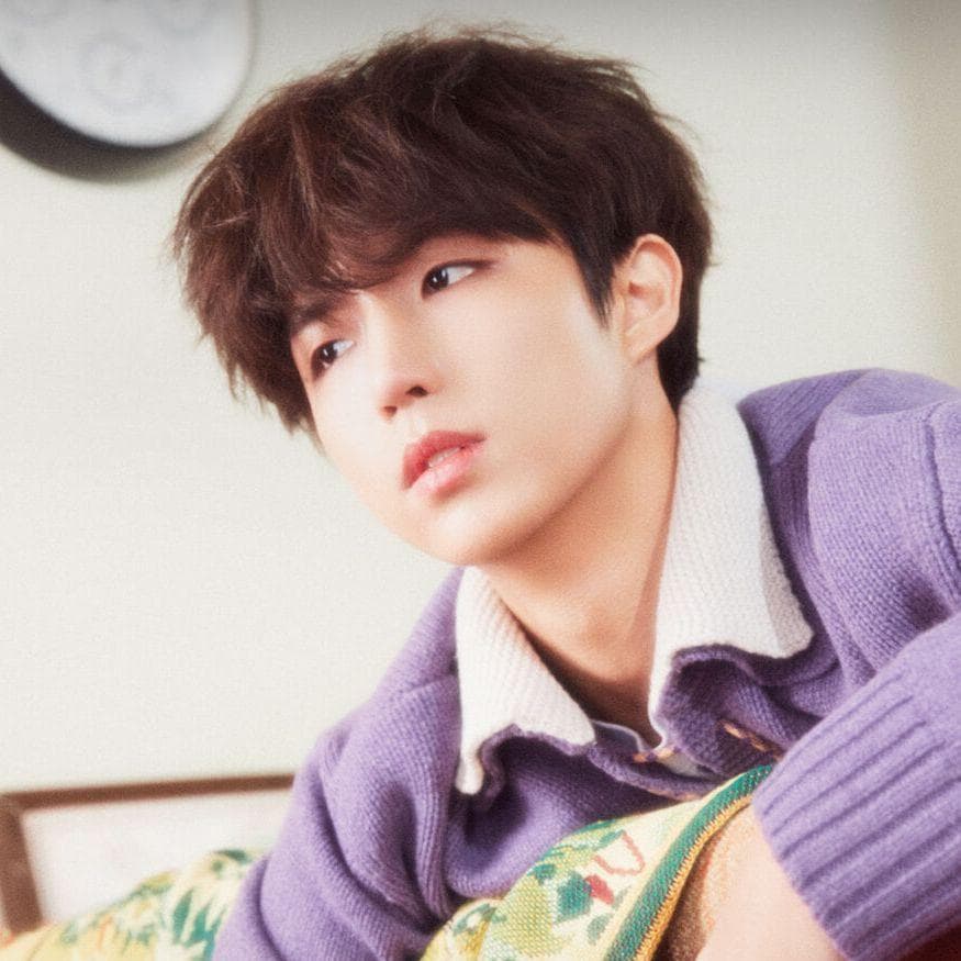 20+ K-pop Idols Who Are INTJ, Ranked By Fans