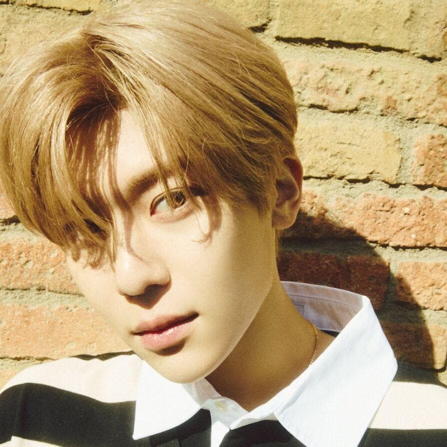 20+ K-pop Idols Who Are INTJ, Ranked By Fans