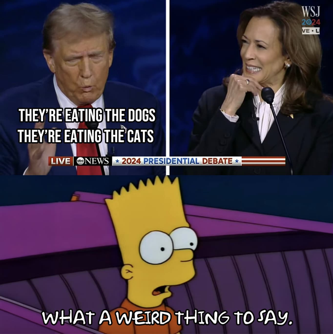 The 26 Funniest Reactions To The 2024 Trump-Harris Presidential Debate ...