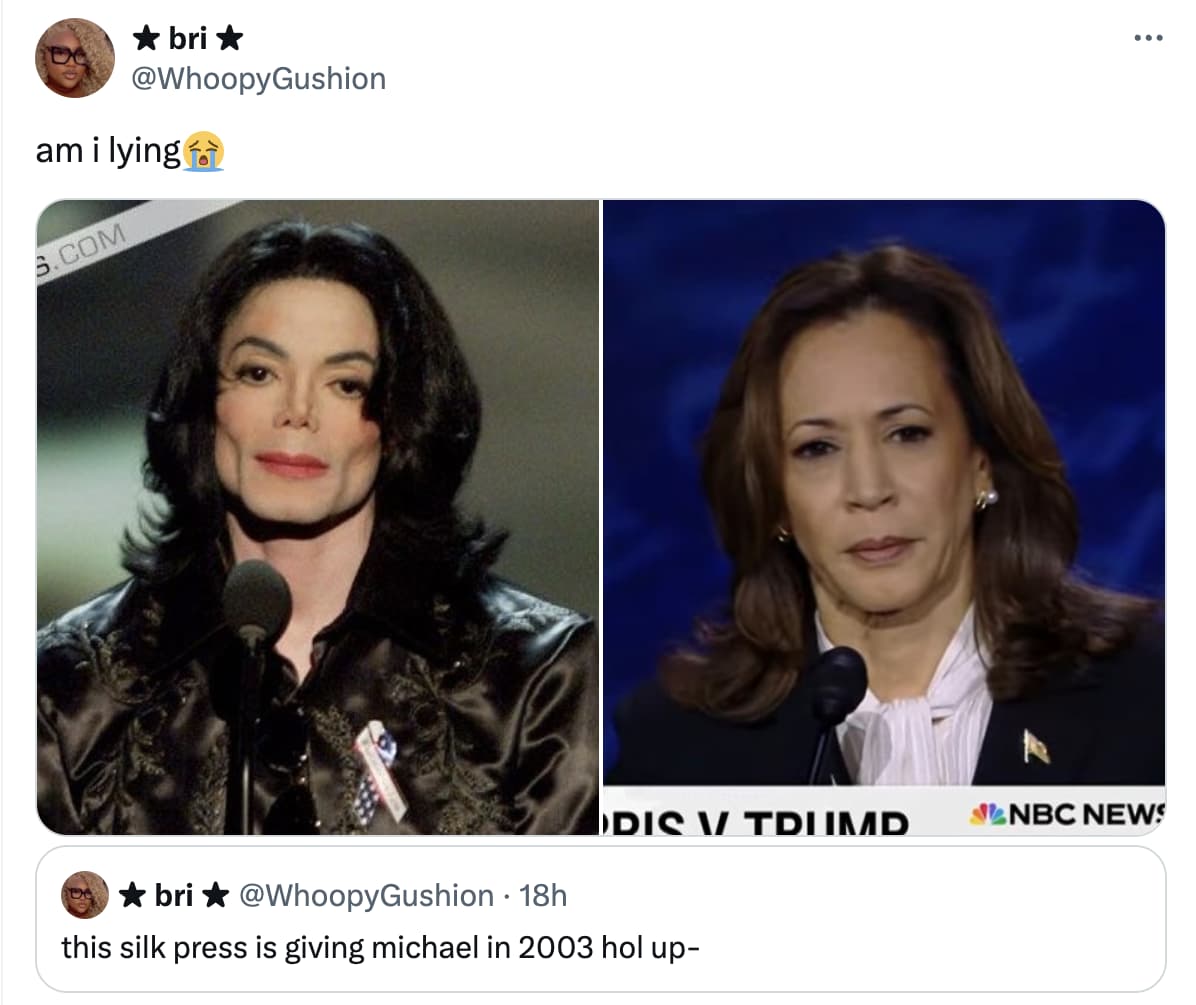 The 26 Funniest Reactions To The 2024 Trump-Harris Presidential Debate ...