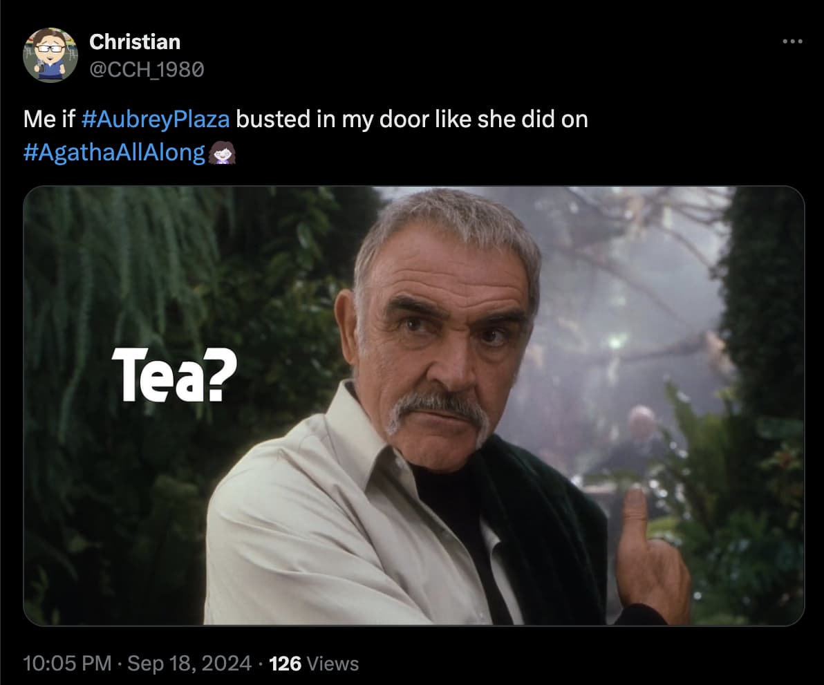 The 20 Best 'Agatha All Along' Memes, Ranked By Fans