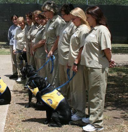 What Inmates Do During A Typical Day In Prison