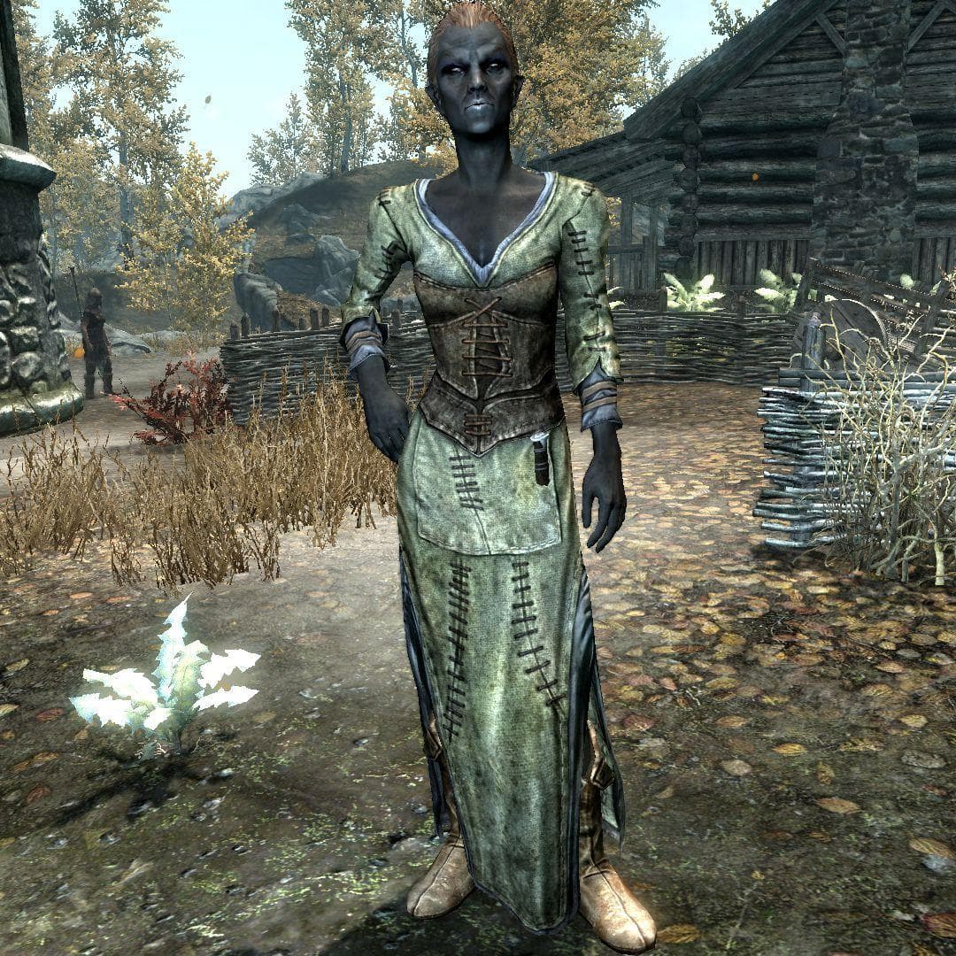 The 30 Best Wives In Skyrim, Ranked