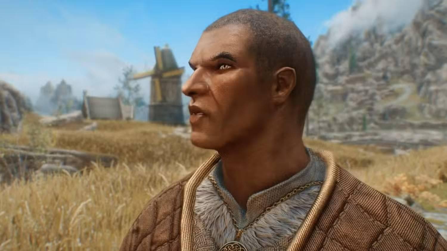 The Best Race In Skyrim, Ranked