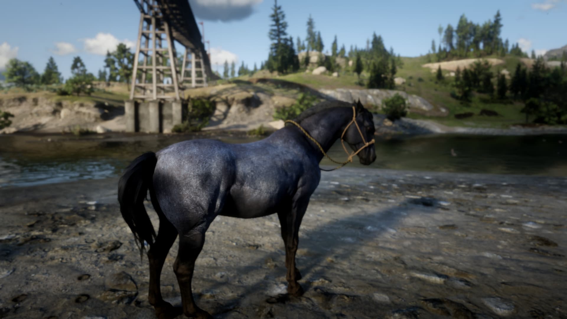 The Best Red Dead Redemption 2 Horses, Ranked