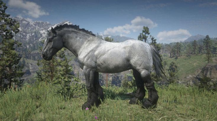 The Best Red Dead Redemption 2 Horses, Ranked