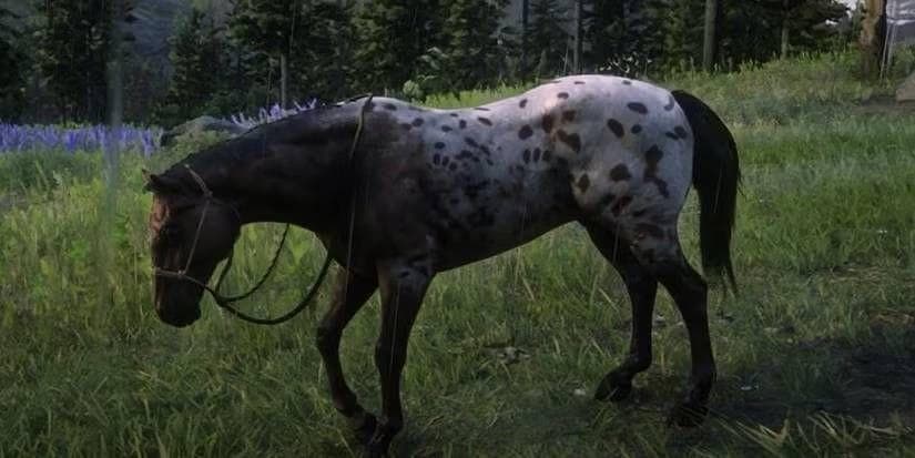 The Best Red Dead Redemption 2 Horses, Ranked