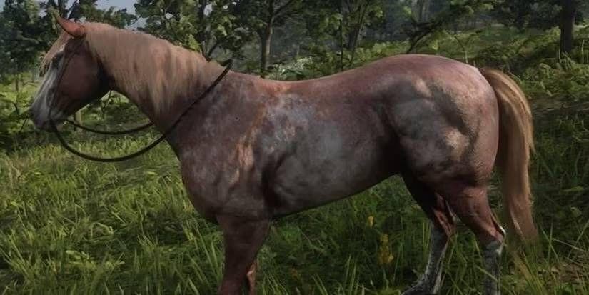 The Best Red Dead Redemption 2 Horses, Ranked