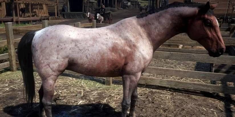 The Best Red Dead Redemption 2 Horses, Ranked