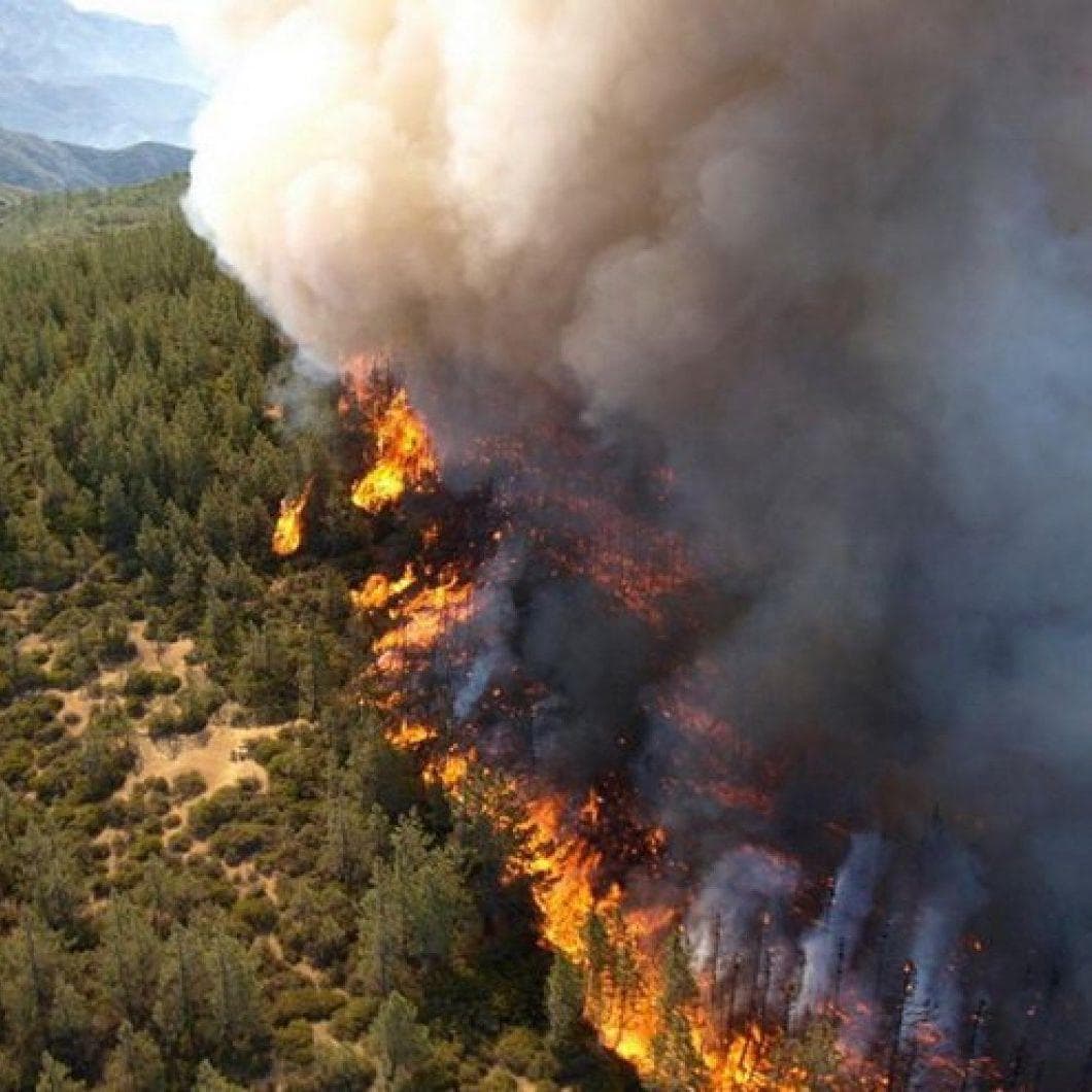 Questions About Wildfires And How To Fight Them, Answered
