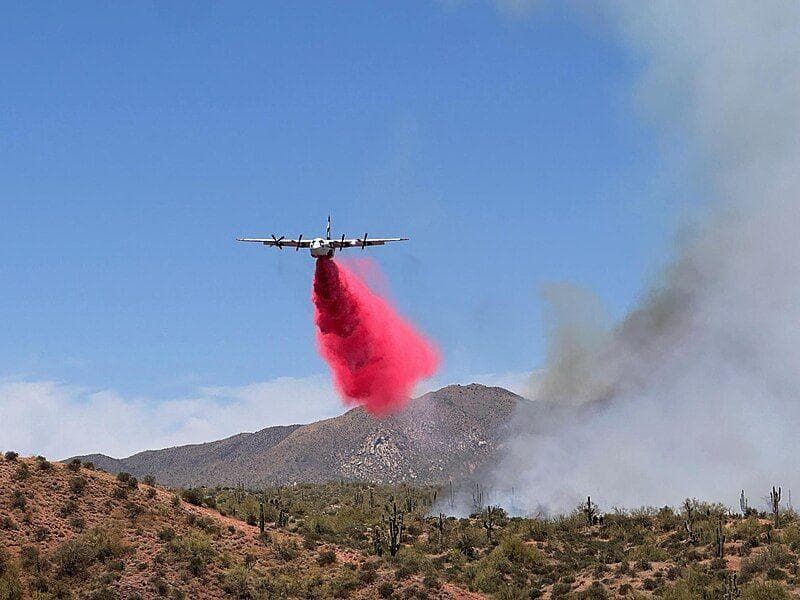 Questions About Wildfires And How To Fight Them, Answered