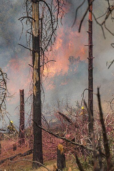 What Is That Red Fire Retardant?