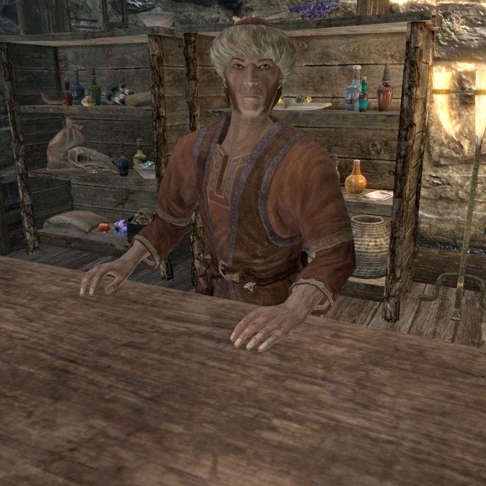 The Best Husbands In Skyrim, Ranked