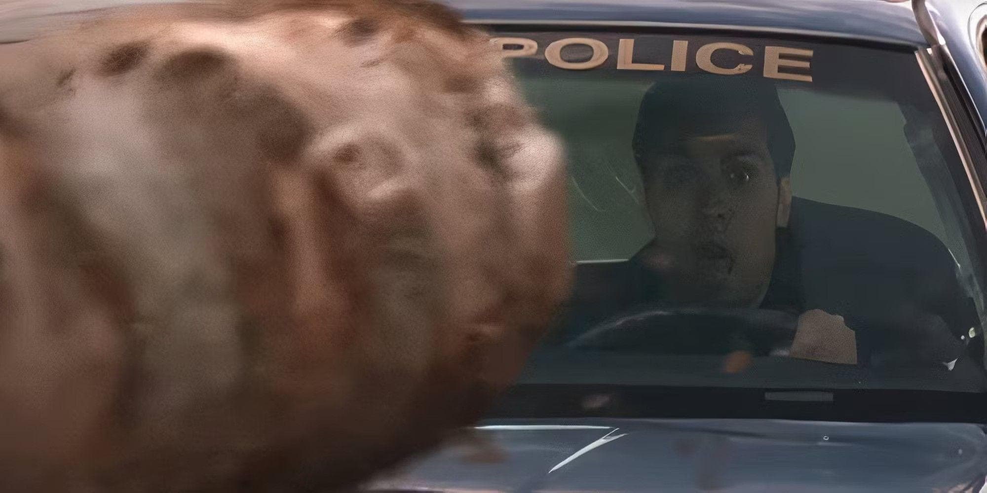 Why 'Final Destination' Fans Are So Hyped For The 'Bloodlines' Film