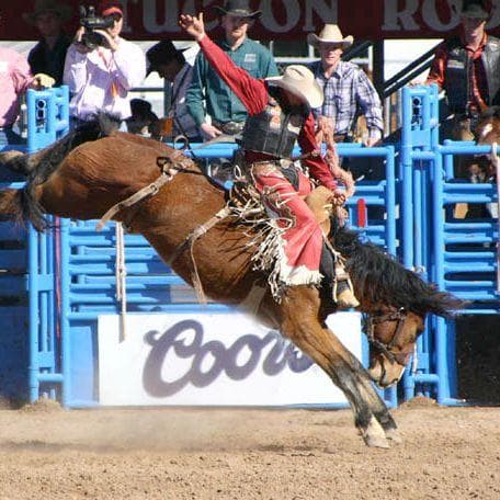 13 Best Rodeo Events For Fans And Families