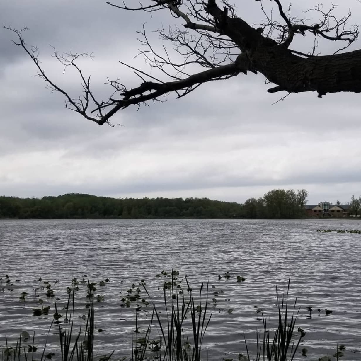 15 Great Fishing Spots In Ohio That Only Locals Know About, Ranked