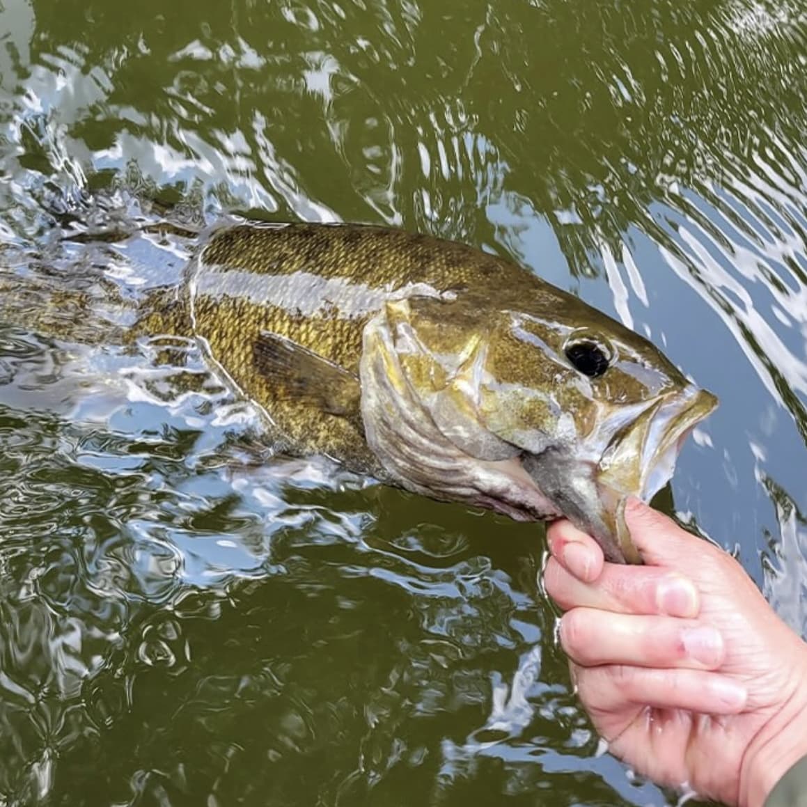 15 Great Fishing Spots In Ohio That Only Locals Know About, Ranked