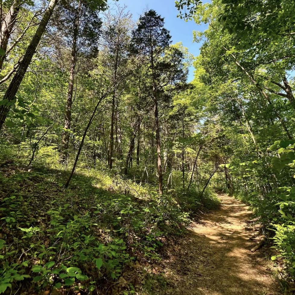 The 15 Best Hiking Trails In Ohio That Only Locals Know About, Ranked