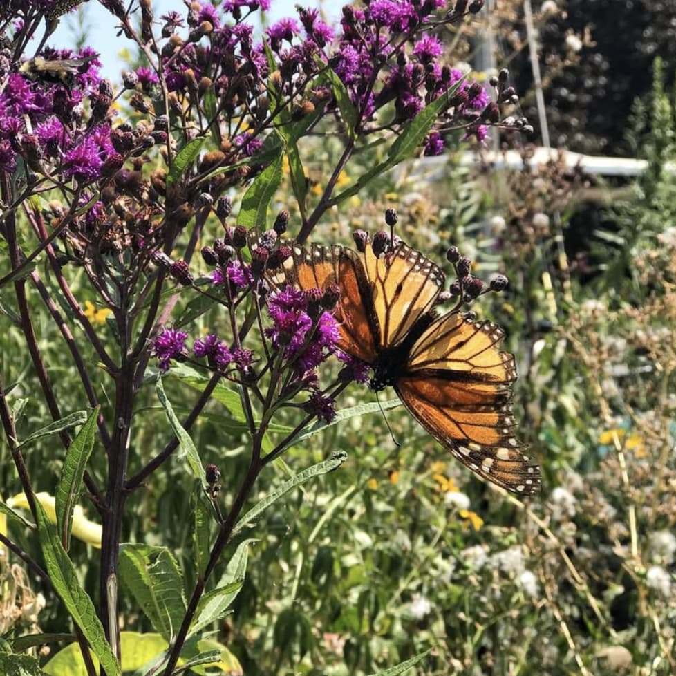 The 15 Best Hiking Trails In Ohio That Only Locals Know About, Ranked