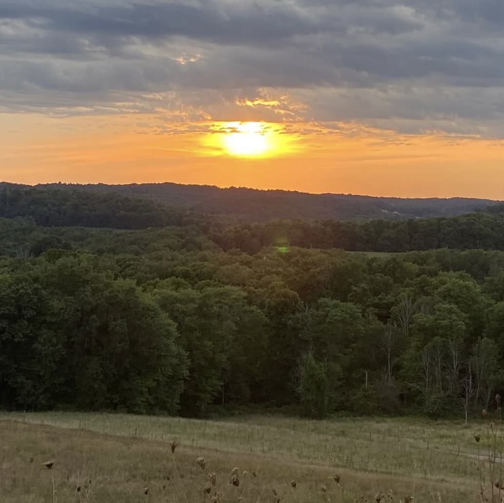 The 15 Best Hiking Trails In Ohio That Only Locals Know About, Ranked