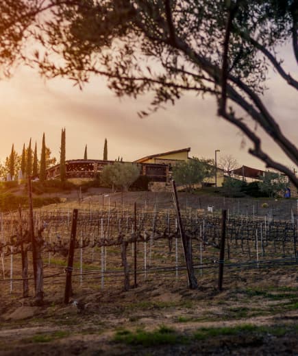 The Best Wineries in Temecula, California for Wine Lovers, Ranked