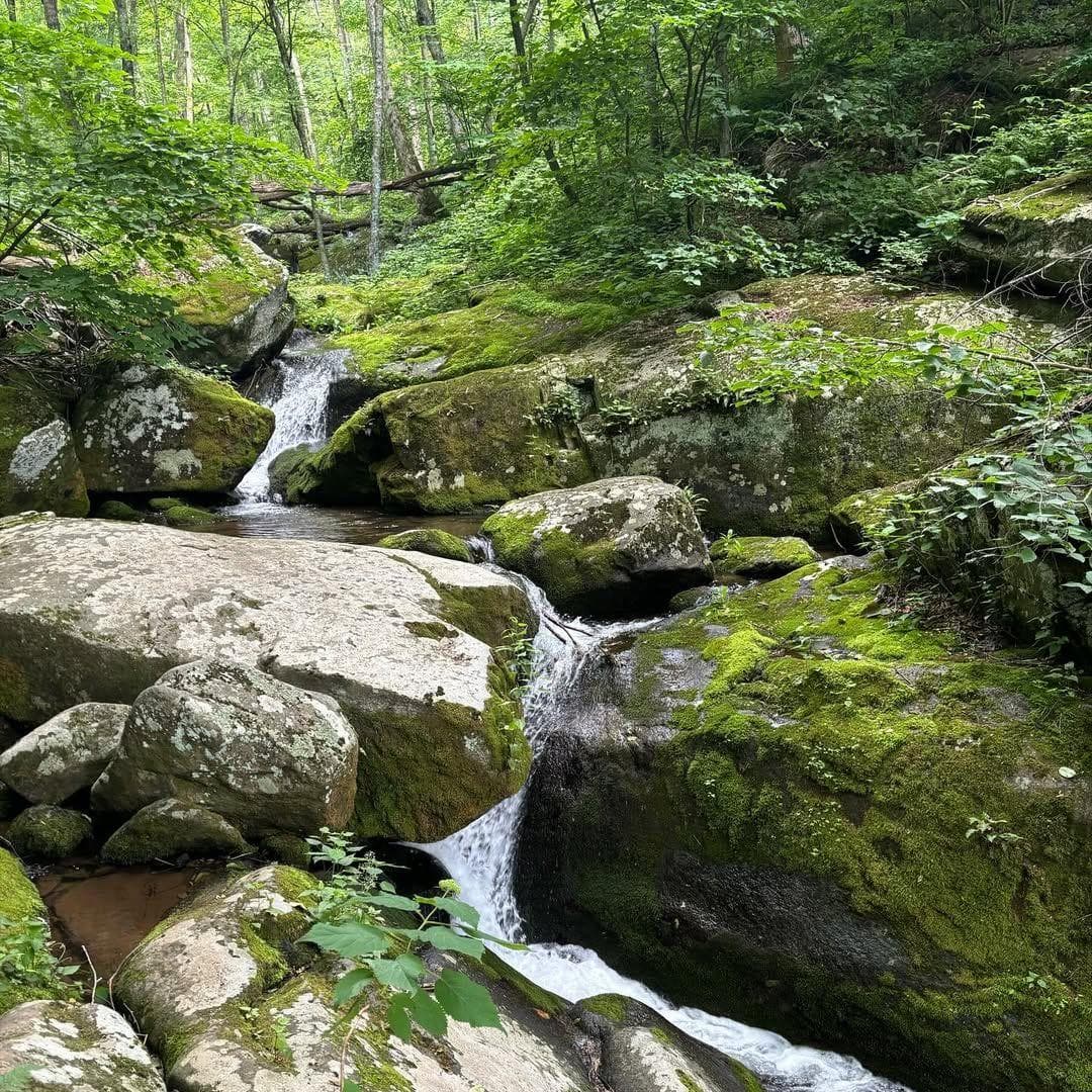 12 Best Hiking Trails In Shenandoah National Park For All Skill Levels