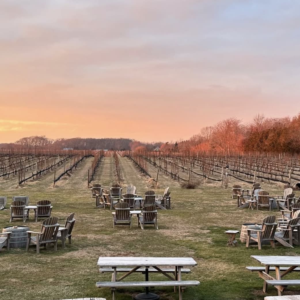 The 15 Best Wineries In Long Island, New York, Ranked